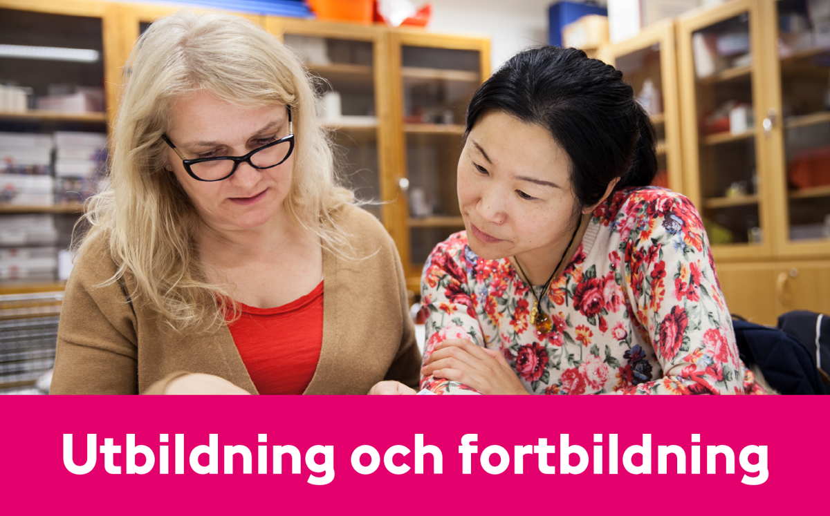 Utbildningar för familjehem och jourhem - Stockholms stad